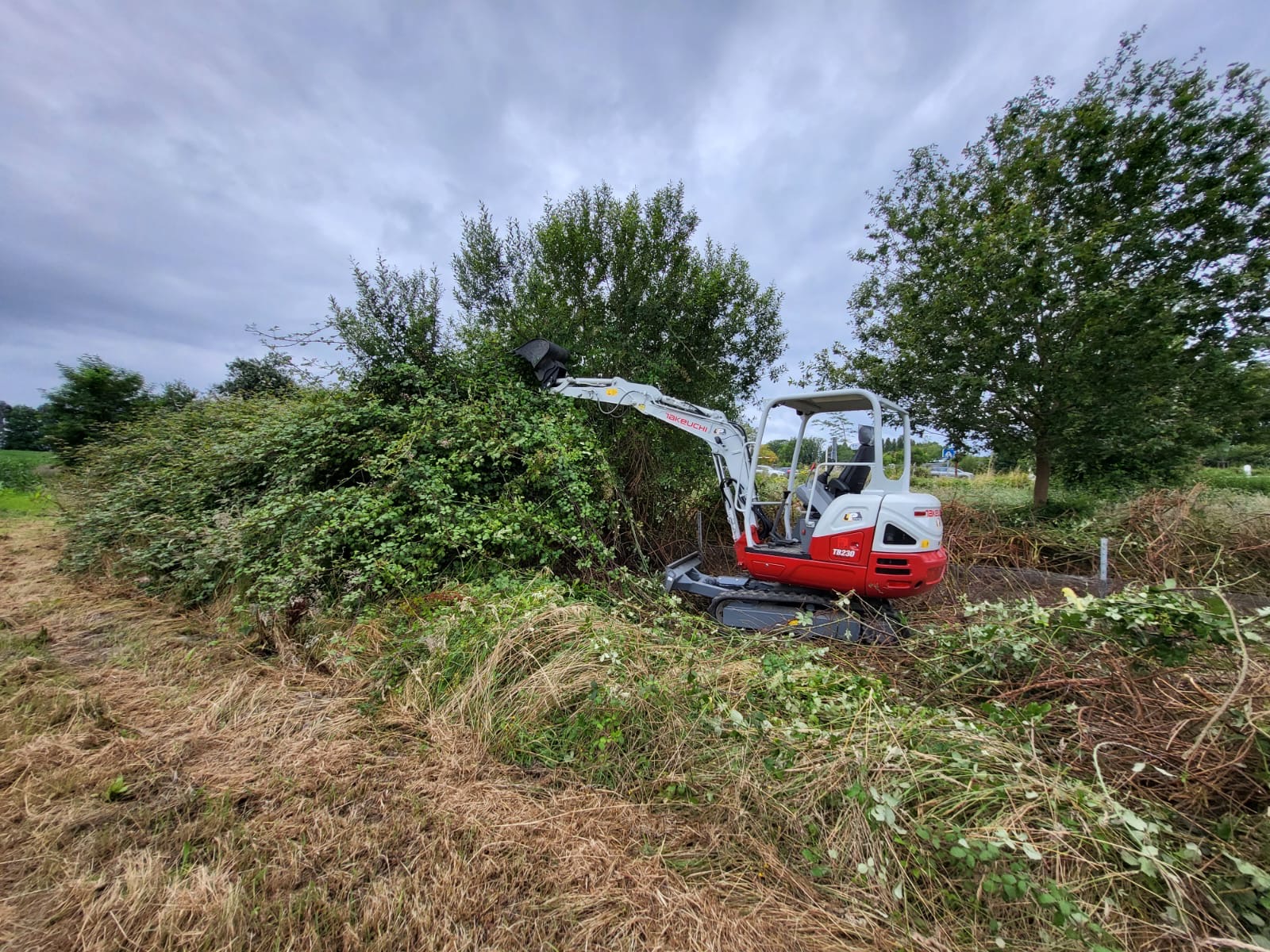 Remise en état et défrichage - Les Jardins de Péline